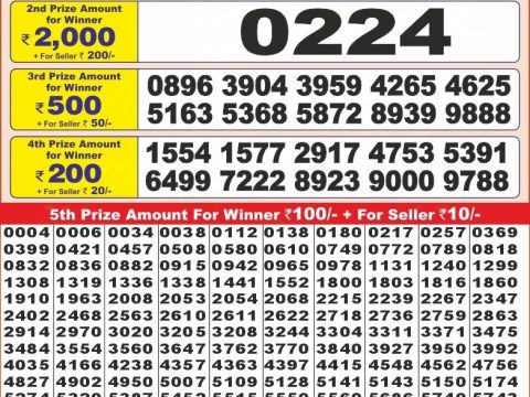 Punjab state dear 200 monthly Lottery result 5 11 24 – All State ...
