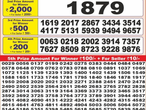 Punjab state dear 50 monthly lottery result 18 Feb 2025 – All State ...